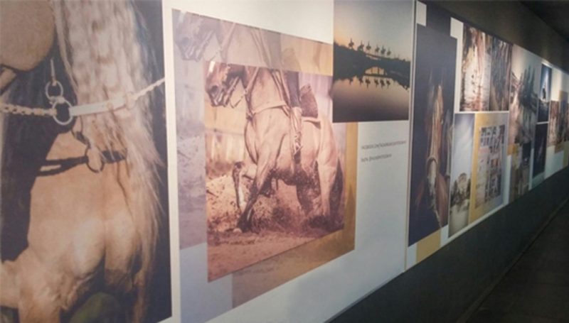 Espaço Cultural da ABCCC será inaugurado durante a Expointer Notícias ...